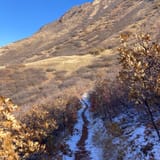 Red Butte Gardens Small Loop, Utah - 289 Reviews, Map | AllTrails