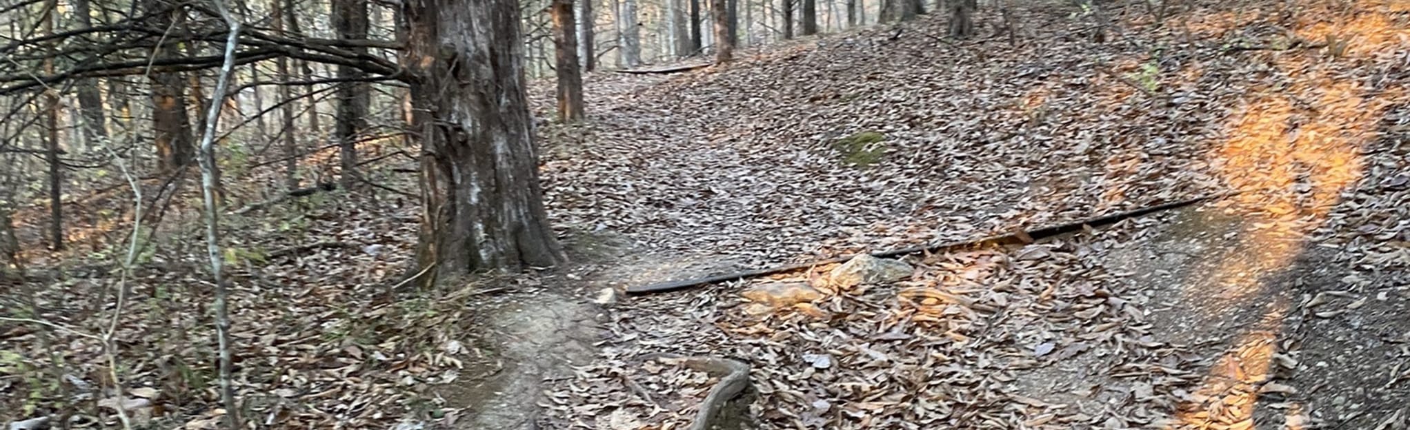 Spring Brook Trail: Rock Bridge Memorial State Park | Mapa, Roteiro ...