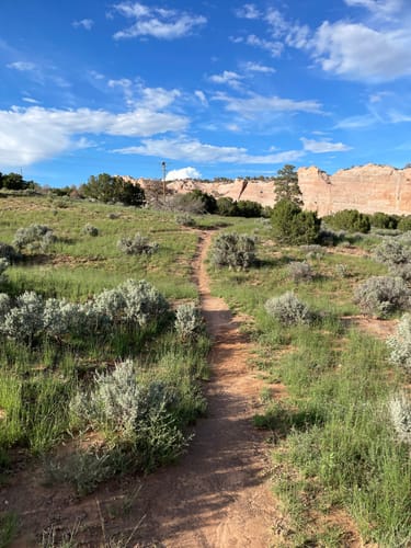 Best Hikes and Trails in Window Rock | AllTrails