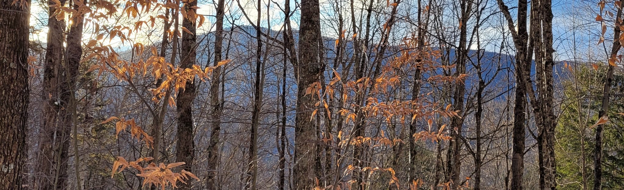 Sap Boiler Trail Loop, Vermont - 7 Reviews, Map | AllTrails