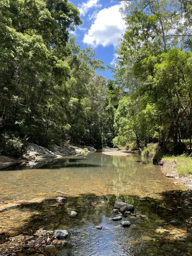 Best Views Trails in Numinbah Valley | AllTrails