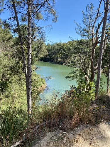 10 Best Hikes and Trails in Creswick State Forest | AllTrails