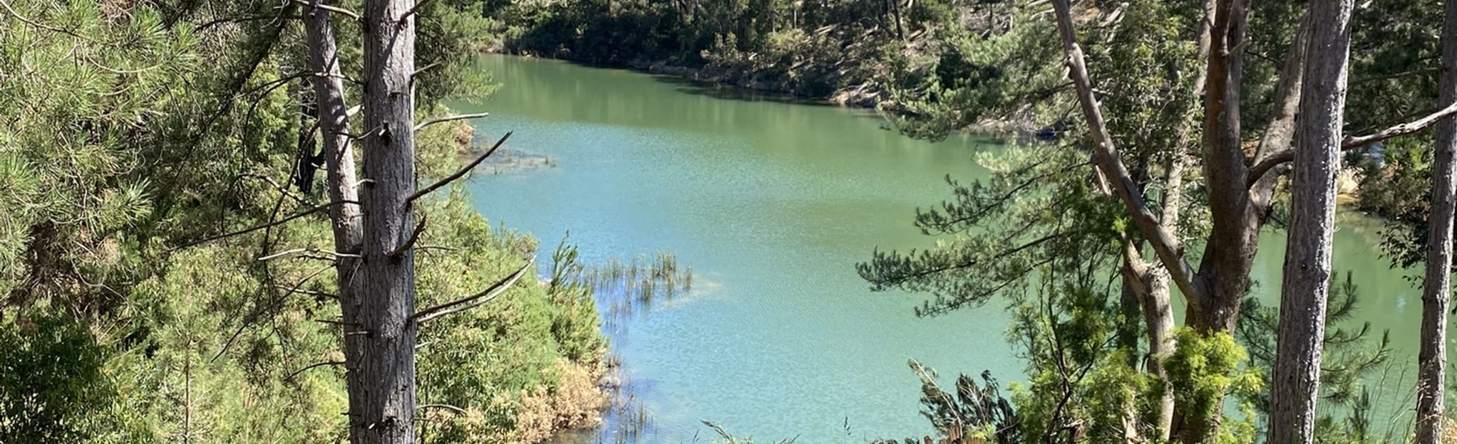 Eureka Track: Ballarat Station to Creswick Station: 26 Reviews, Map ...