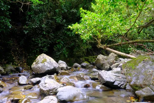 Best Hikes and Trails in Mount Nimrod Scenic Reserve | AllTrails