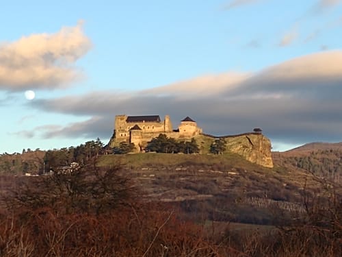 2023 Best 10 Forest Trails in Zemplén Tájvédelmi Körzet | AllTrails