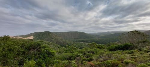 Best Hikes and Trails in Maitland Nature Reserve | AllTrails