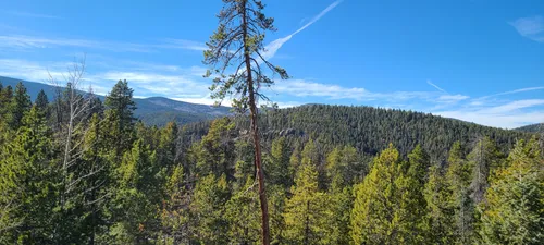 10 Best Trails and Hikes in Evergreen | AllTrails