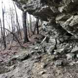 Devils Knob Loop, Arkansas - 222 Reviews, Map | AllTrails