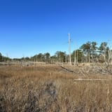 Cape Henry Trail, Virginia - 602 Reviews, Map | AllTrails