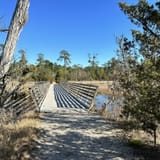 Cape Henry Trail, Virginia - 602 Reviews, Map | AllTrails