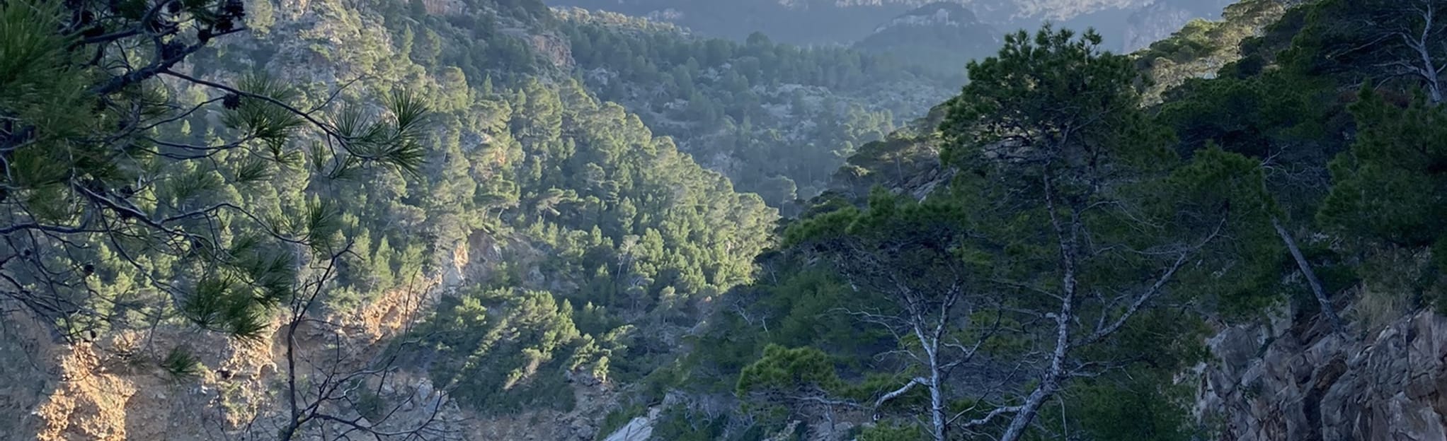 Sa Foradada: 144 Reviews, Map - Mallorca, Spain | AllTrails