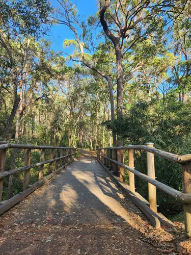 Best Hikes and Trails in Raven Street Reserve | AllTrails