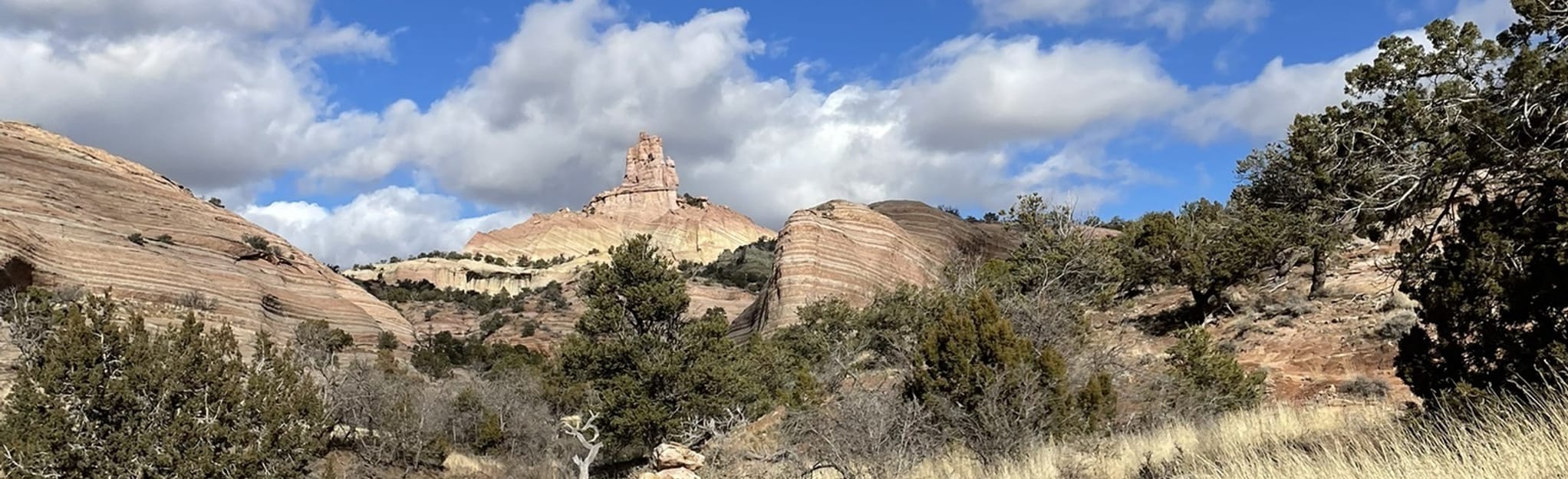 Church Rock Trail: 362 Reviews, Map - New Mexico | AllTrails