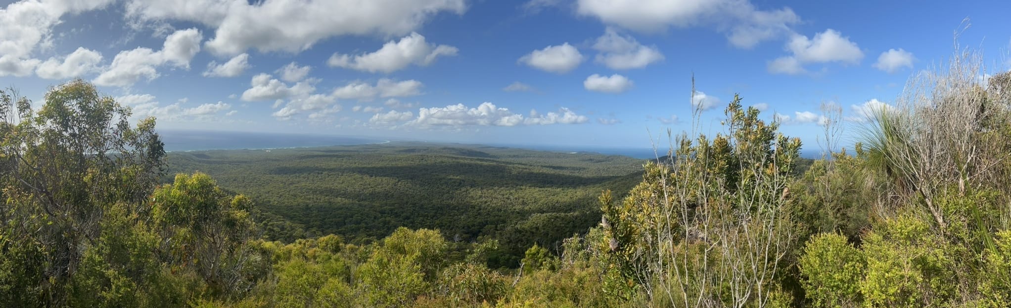 Mount Tempest Track , Queensland, Australia - 26 Reviews, Map | AllTrails