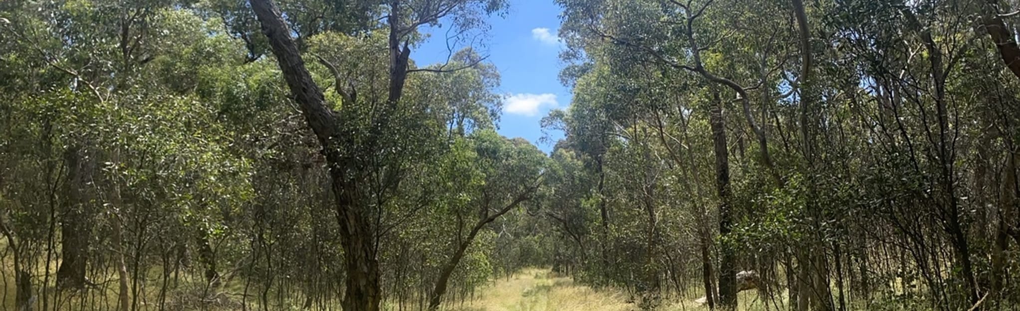 Brisbane Ranges Circuit: Extended Loop, Victoria, Australia - 127 ...
