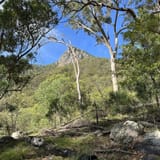 Mount Larcom Walking Trail, Queensland, Australia - 201 Reviews, Map ...