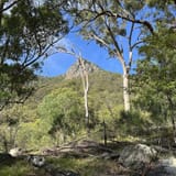 Mount Larcom Walking Trail, Queensland, Australia - 201 Reviews, Map ...