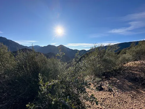 10 Best Trails and Hikes in Sunland-Tujunga | AllTrails