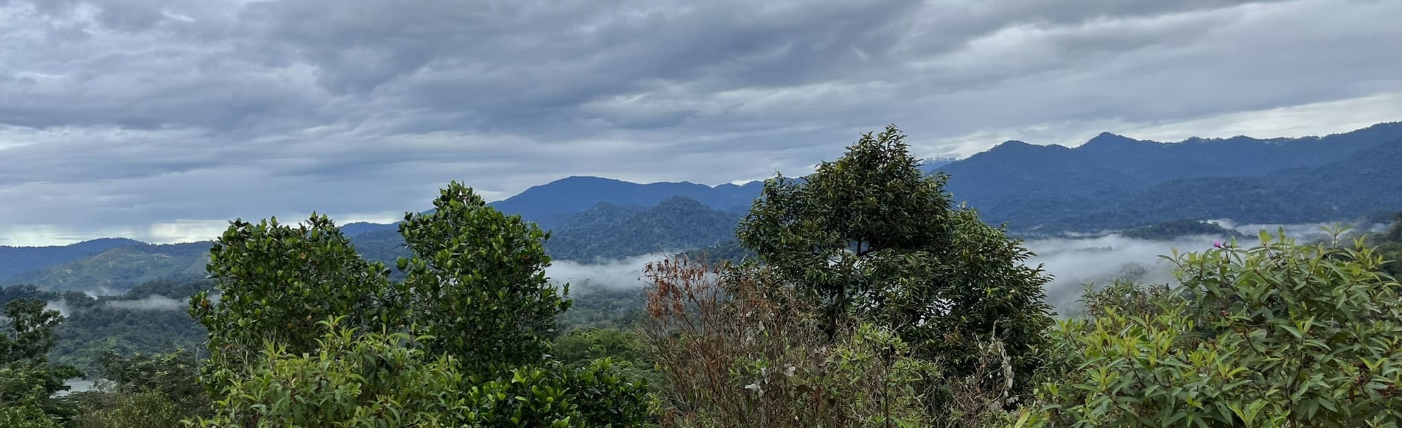 Klang Gates Reservoir Loop: 208 Reviews, Map - Selangor, Malaysia ...