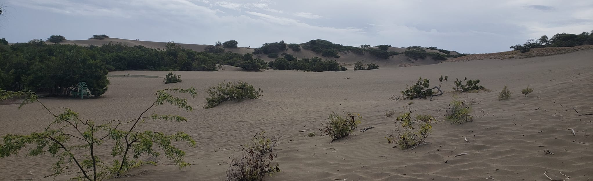 Sendero de las Dunas de las Calderas: 15 Reviews, Map - Peravia ...