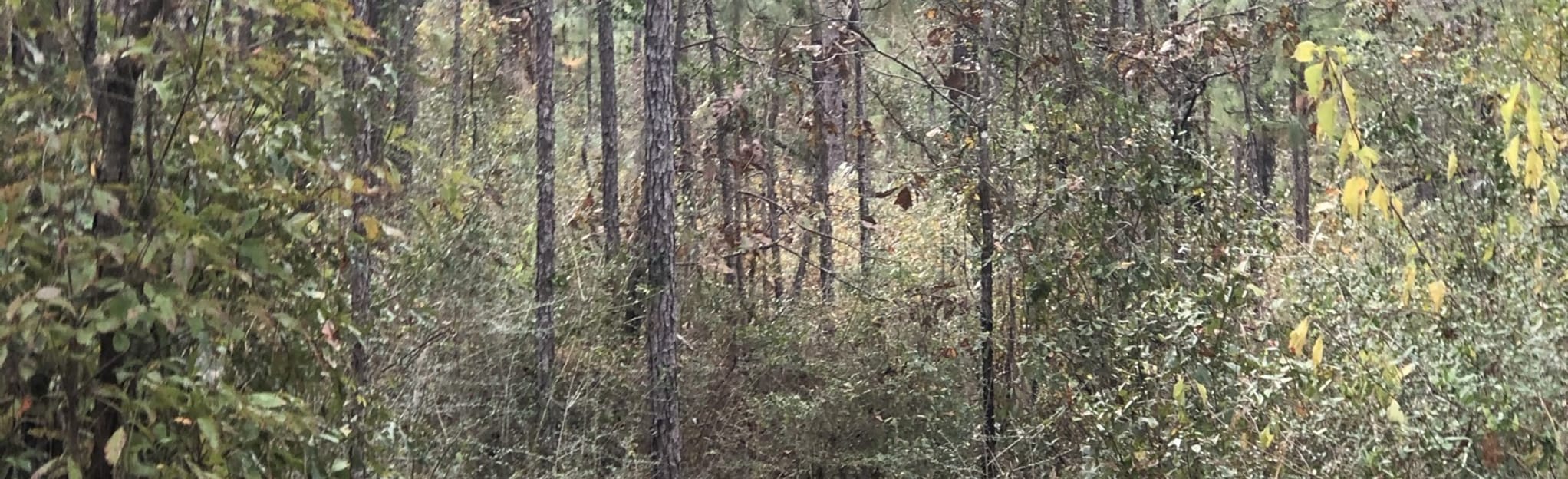 North Red Rocks Trail: 41 Reviews, Map - Florida | AllTrails