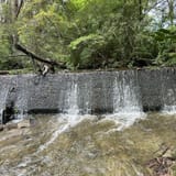 Ironbark Falls Track, New South Wales, Australia - 34 Reviews, Map ...