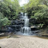Ironbark Falls Track, New South Wales, Australia - 34 Reviews, Map ...