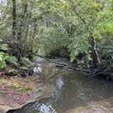 Ironbark Falls Track, New South Wales, Australia - 34 Reviews, Map ...