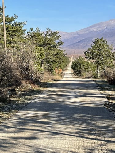 2023 Best Forest Trails in Vrlika | AllTrails