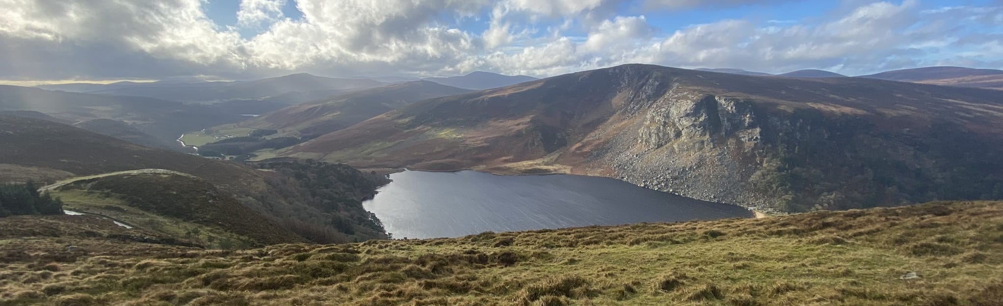 Ballinastoe Wood: 466 fotos - Condado de Wicklow, Irlanda | AllTrails