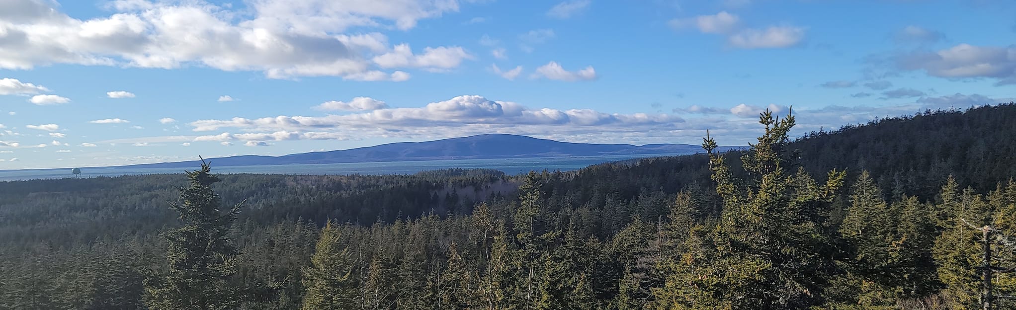 The Anvil Trail, Maine - 160 Reviews, Map | AllTrails