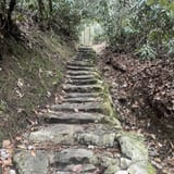 Appalachian Trail, Hosack Run, and Locust Gap Loop, Pennsylvania - 428 ...