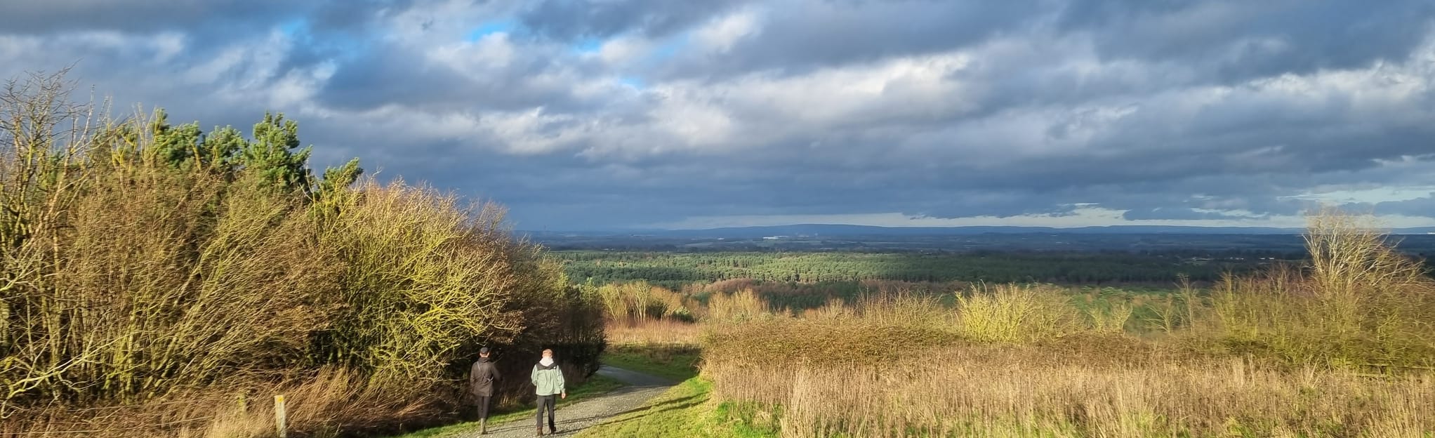 Old Pale Hill and Delamere Forest - Cheshire, England | AllTrails