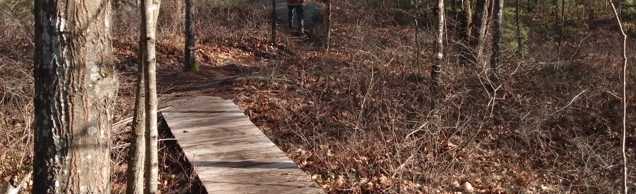 Smith Preserve: Steele Trail - Fox Den - Brook Loop, Maine - 425 ...