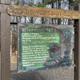 Bench Trail, Arkansas - 474 Reviews, Map | AllTrails