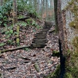 Peg Leg Mine Trail, Tennessee - 79 Reviews, Map | AllTrails