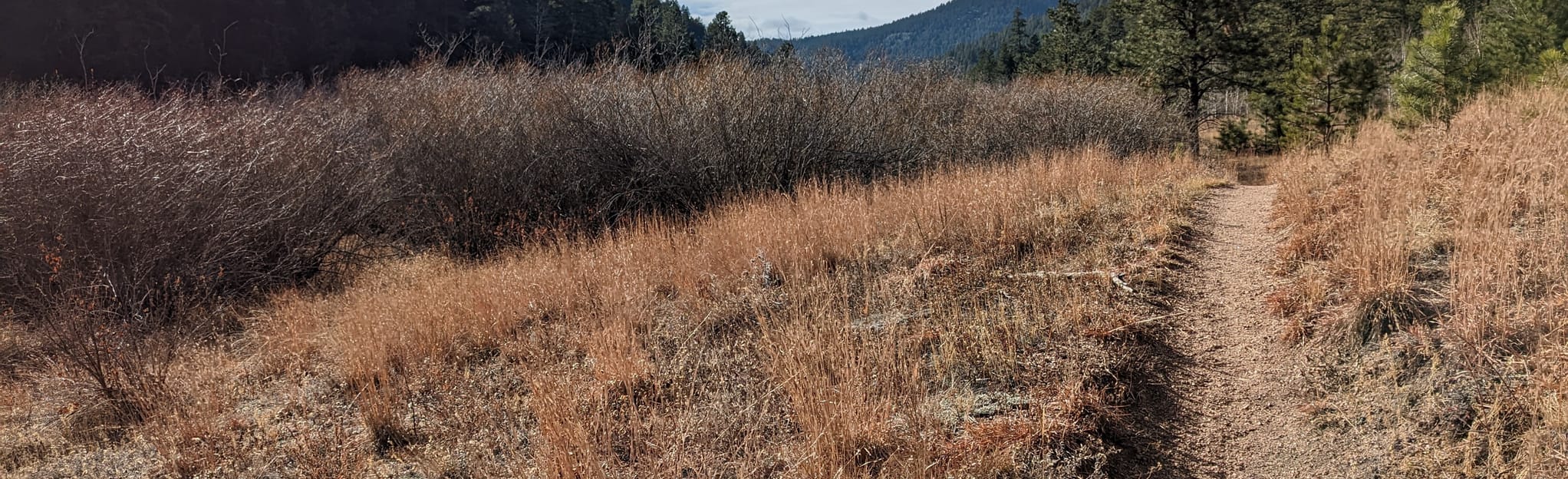 Limbaugh Canyon and Raspberry Mountain Loop: 200 Reviews, Map ...