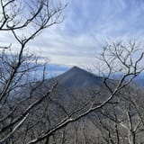 Flat Top Mountain via Flat Top Trail, Virginia - 381 Reviews, Map ...
