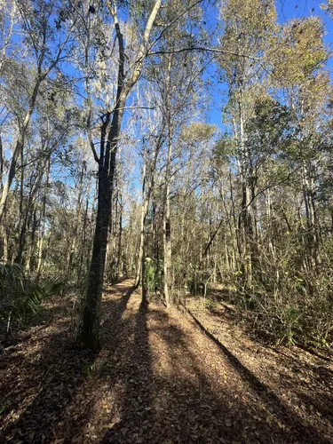 Best Hikes and Trails in Fort King National Historic Park | AllTrails