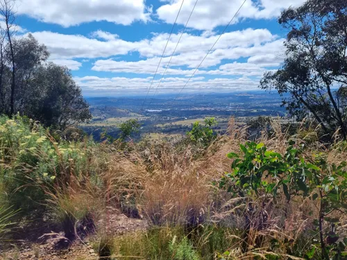 Best Forest Trails in Bullen Range Nature Reserve | AllTrails