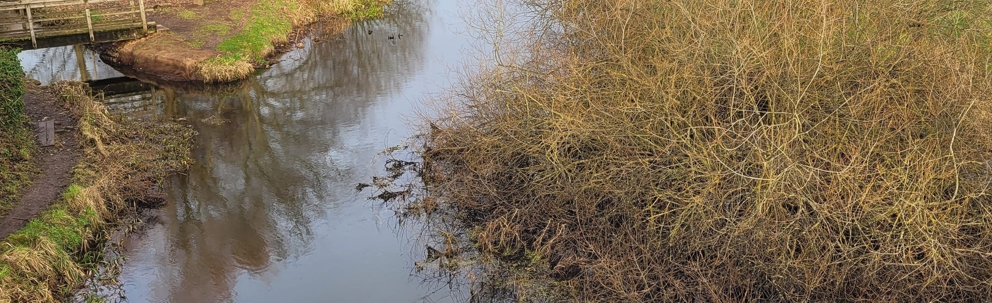 Bure Valley Path: Aylsham to Hoveton, Norfolk, England - 11 Reviews ...