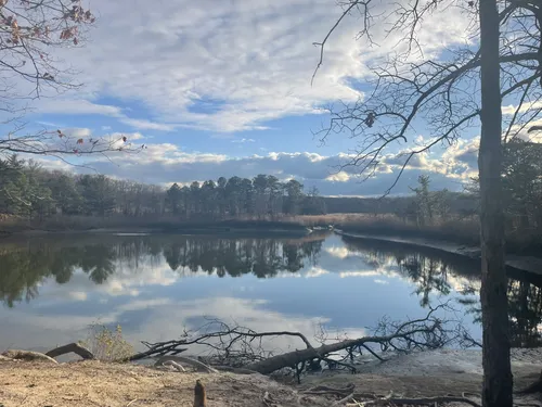 Best Walking Trails in Cheesequake State Park | AllTrails