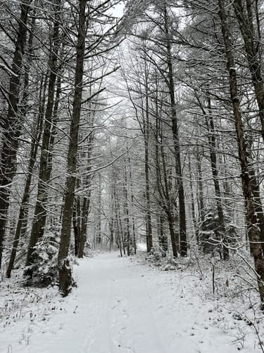 Best Hikes and Trails in Brunswick Town Commons | AllTrails