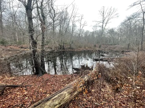 10 Best Hikes and Trails in Cockaponset State Forest | AllTrails