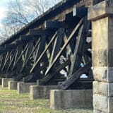 Virginius Island Trail, West Virginia - 203 Reviews, Map | AllTrails