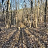 Tree Top Nature Trail, Alabama - 359 Reviews, Map | AllTrails