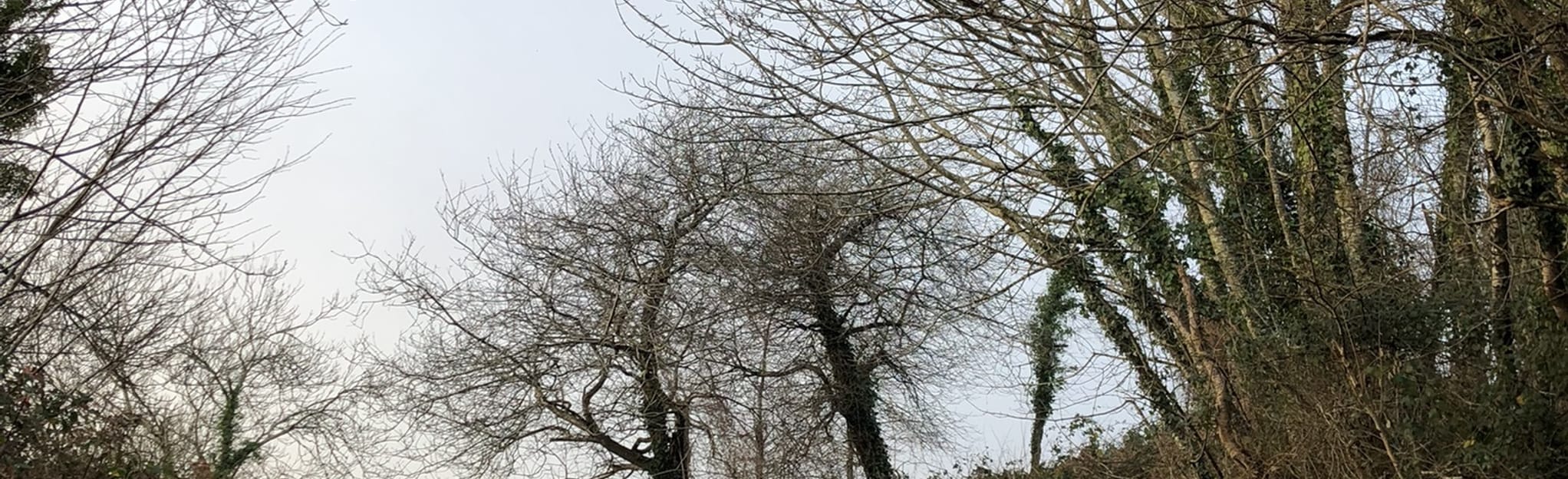 Minane Bridge Trail, County Cork, Ireland - 8 Reviews, Map | AllTrails