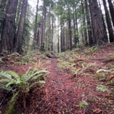 Rohner Park Loop, California - 217 Reviews, Map | AllTrails