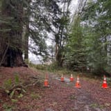 Rohner Park Loop, California - 217 Reviews, Map | AllTrails