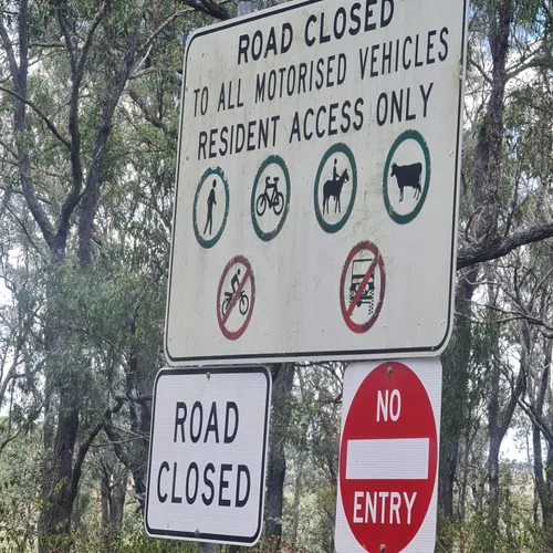 Best Hikes and Trails in Benarkin State Forest | AllTrails